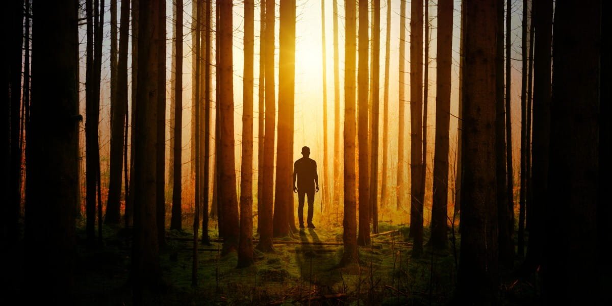 Hero's Journey of Self-Discovery - Celestial Twin Life Mentorship